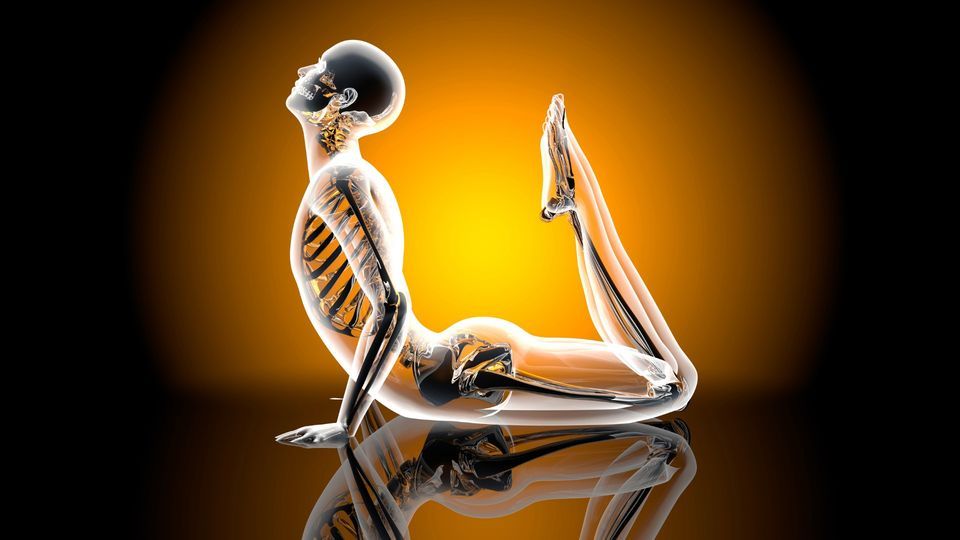 Embodied Anatomy Academy, Boundless Yoga Studio, Stroudsburg, 13 ...