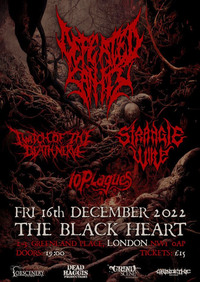 DEFEATED SANITY // TWITCH OF THE DEATH NERVE // STRANGLE WIRE // 10 ...