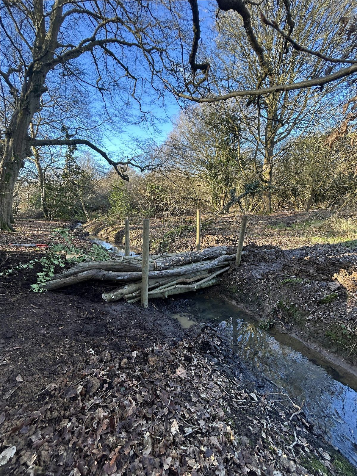 Epping Forest Conservation volunteering - Leaky Dam construction ...