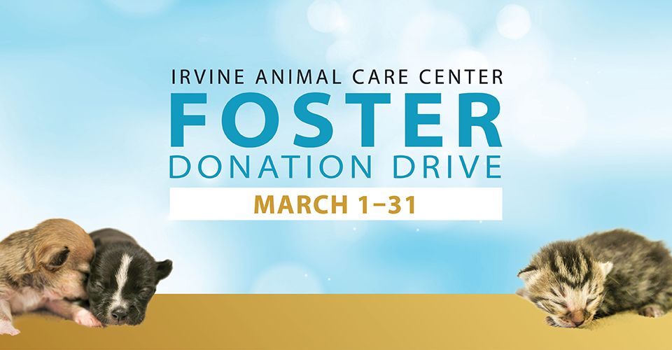 2024 Foster Donation Drive, Irvine Animal Care Center, 1 March 2024