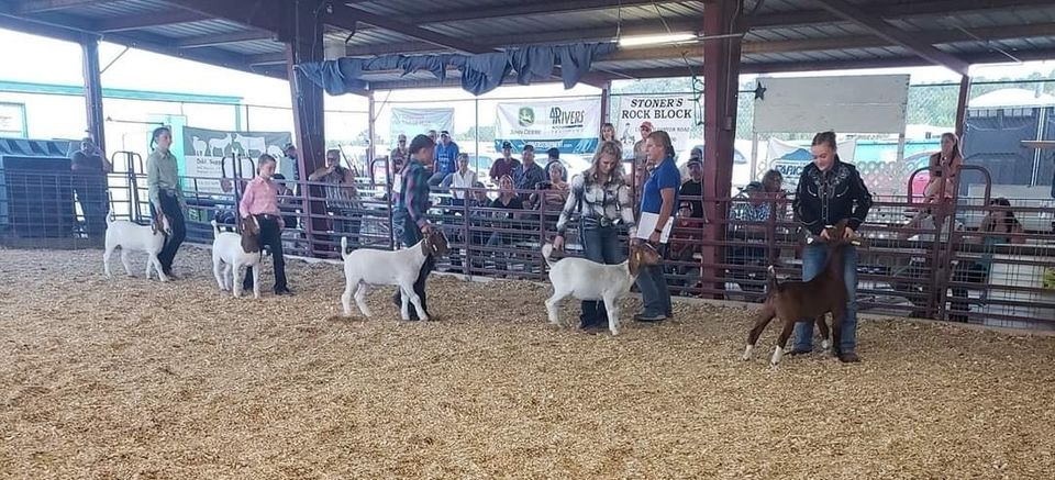 4-H/FFA Goat Show, Pathfinder Park and Event Center - Colorado ...