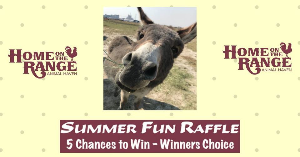 Summer Fun Raffle Drawing, 1st Street Plaza Laramie, WY, 23 July 2022
