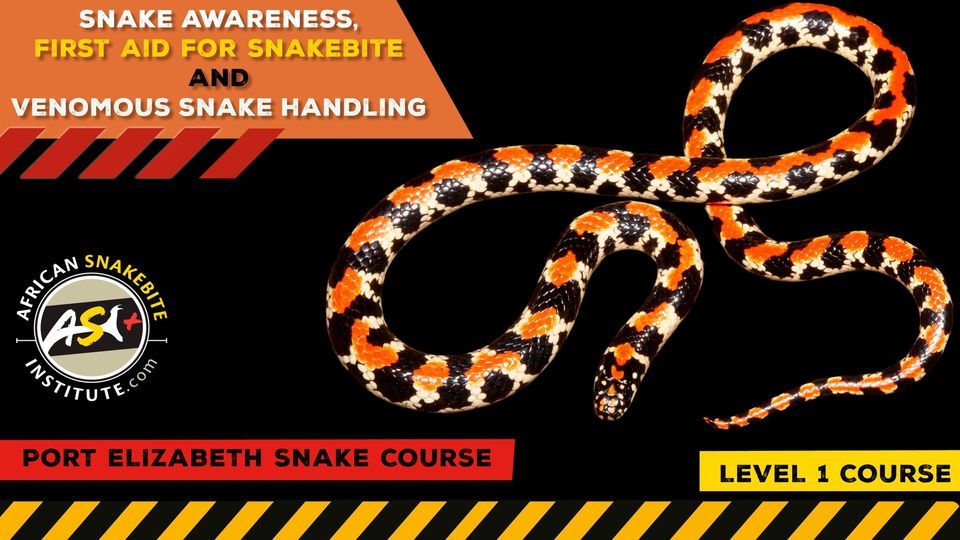 Snake Awareness First aid for Snakebite, Venomous Snake Handling ...