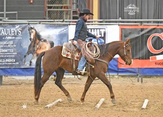 AQHA Versatility Ranch Horse Show, James Kjerstad Events Center, Rapid ...