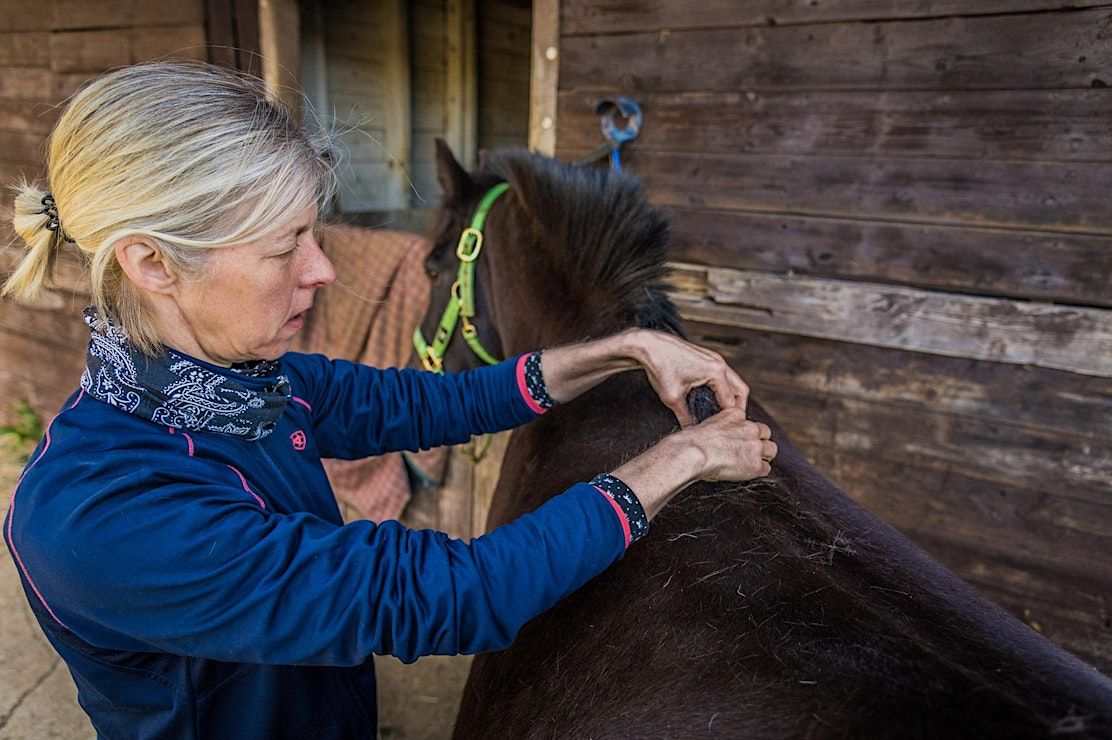 McTimoney College of Chiropractic Animal Open Day - Thurs. 19 Feb 2026 ...