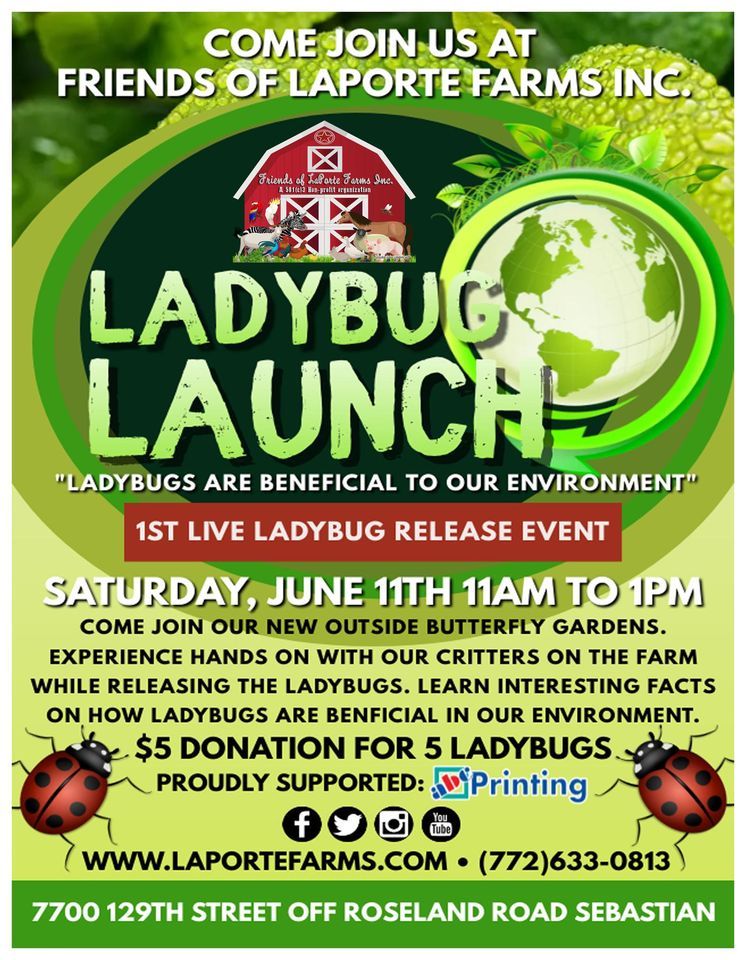 Ladybug Launch, LaPorte Farms, Sebastian, 11 June 2022