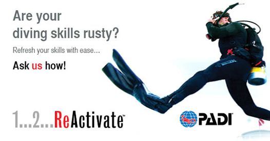 PADI ReActivate Scuba Refresher Course, Tickets finden, Davie, 29 May 2021