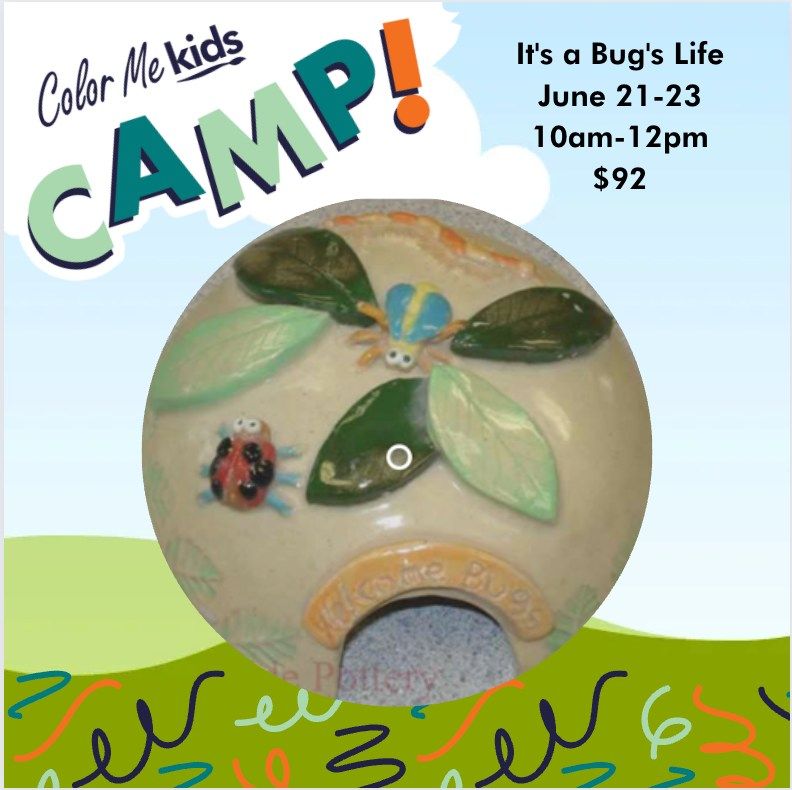 3 Day Camp - Its A Bugs Life, Color Me Mine (Schaumburg, IL), 21 June ...