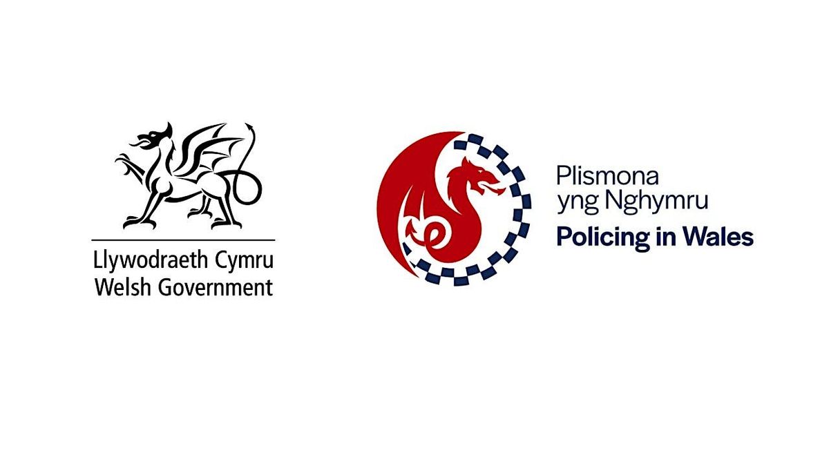 VAWDASV Blueprint Tackling Perpetration Framework Workshop - South ...