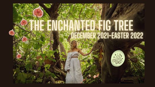 The Enchanted Fig Tree 2021/2022, Kangaroo Island, Mclaren Flat, 16 ...