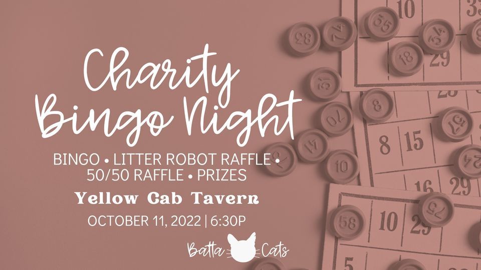 Litter Robot Raffle at Charity Bingo, Yellow Cab Tavern, Dayton, 11 ...