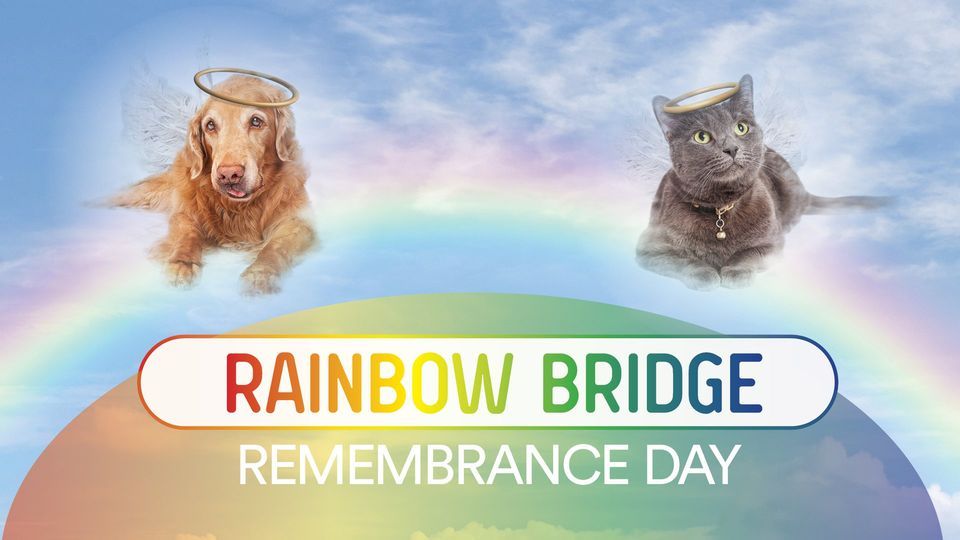 Rainbow Bridge Remembrance Day, online, 28 August 2022