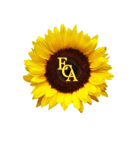 Pizza Social & Exwick Community Association AGM, Exwick Parish Hall ...