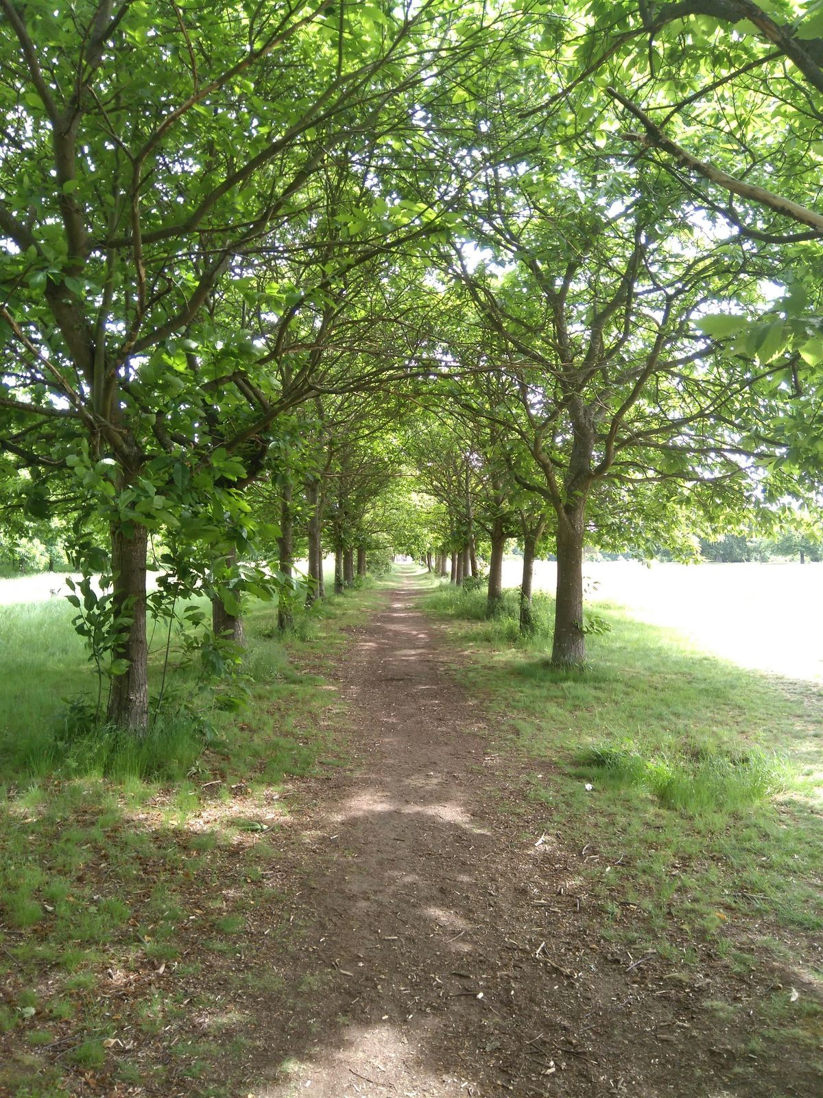 New Family Constellation workshop about Success at Work, Stone Mini ...