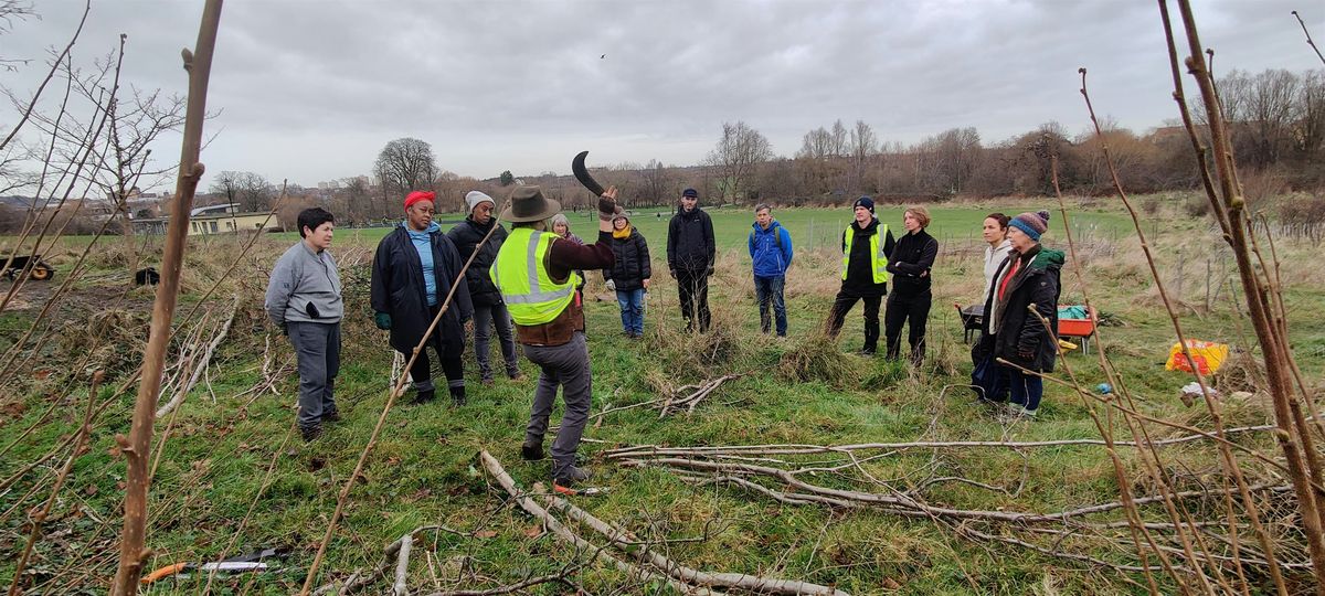 Coppicing Workshop in the Orchard, Lordship Rec, Lordship Hub Co-op ...