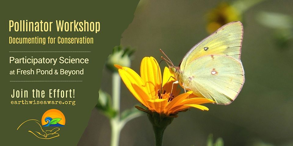 Lets Go Bugging! Pollinator Survey Workshop, 615 Concord Avenue,Cambridge,02138,US, 24 September ...