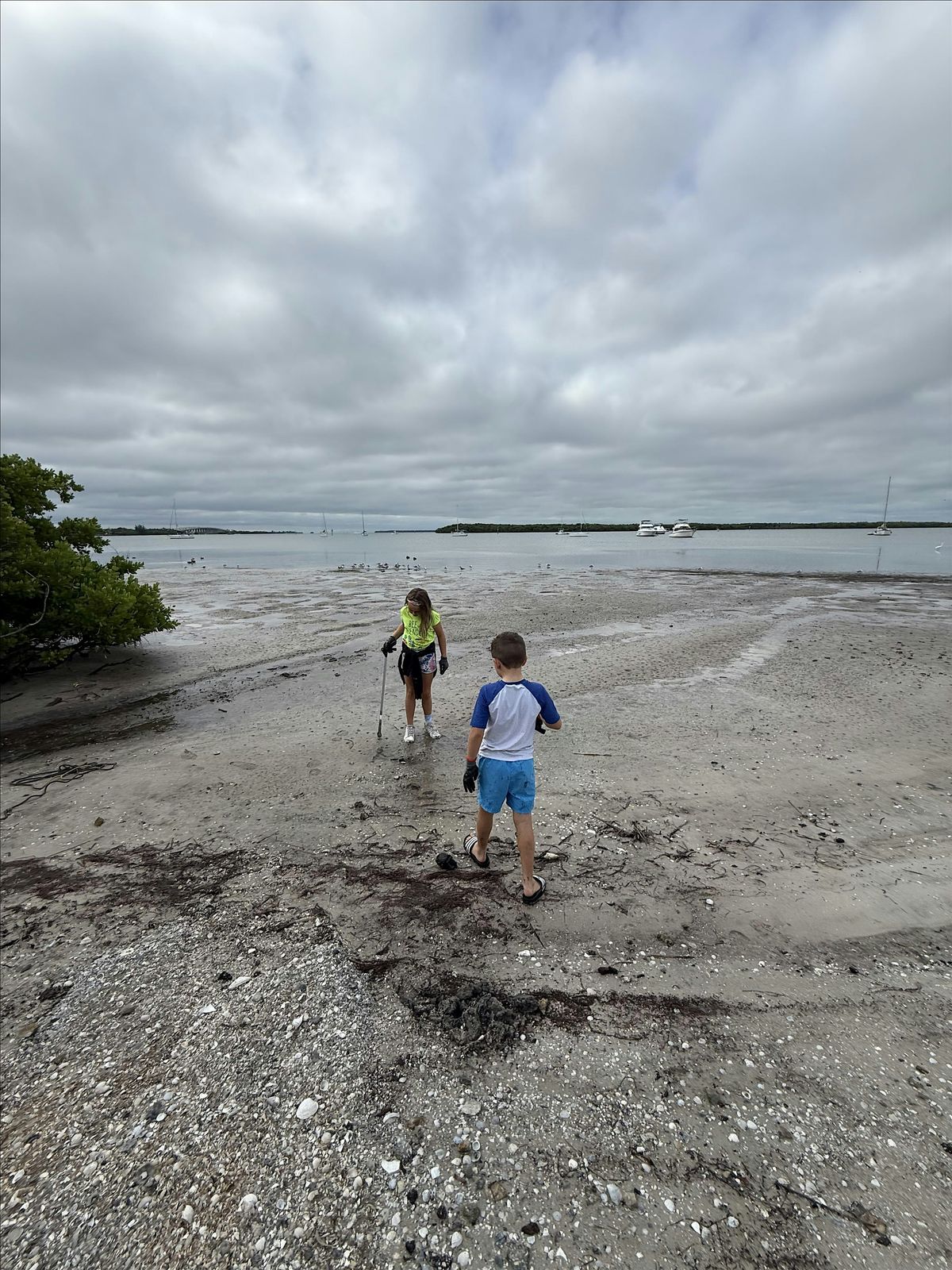 Wildlings x Keep Pinellas Beautiful Beach Clean Up, Maximo Park, St ...