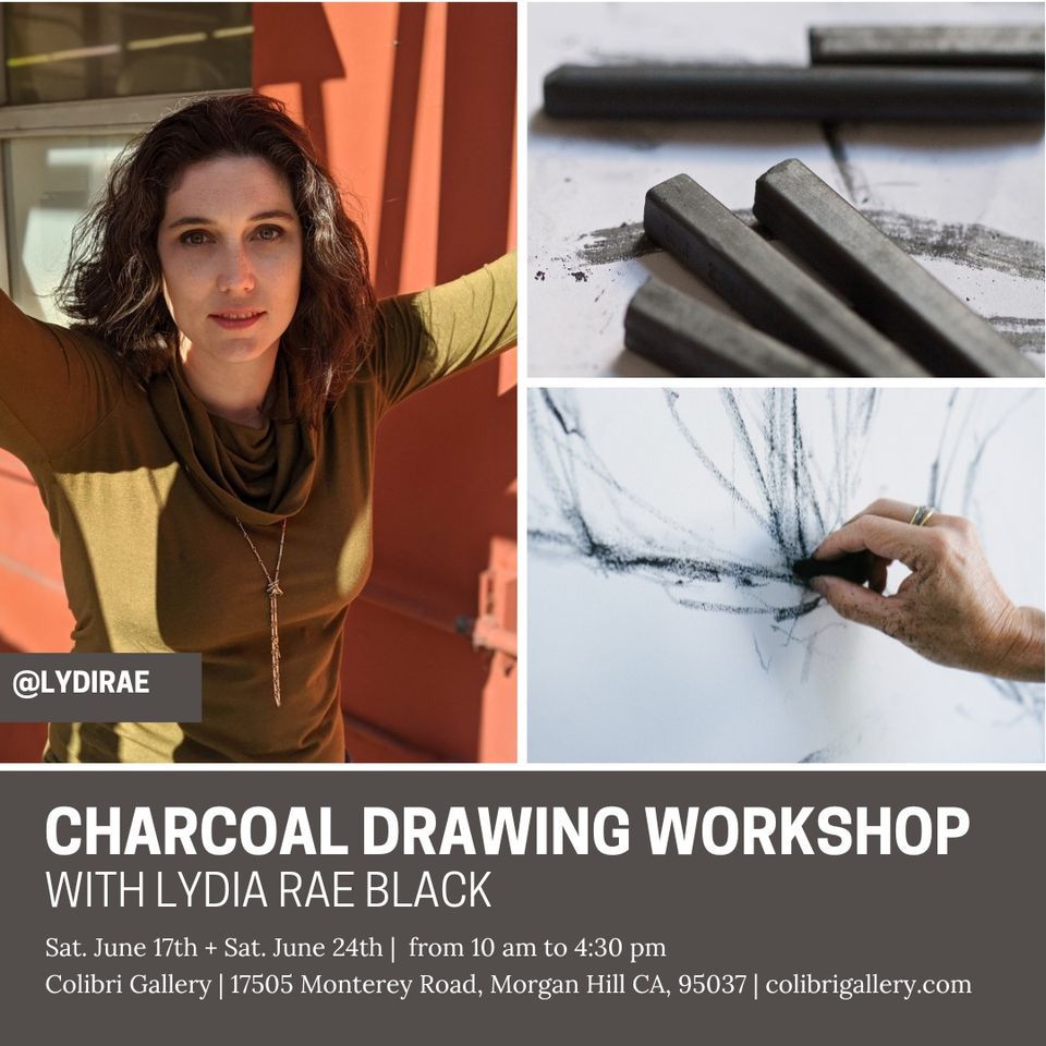 Beginning Drawing with Lydia Black, Colibri Gallery, Gilroy, 17 June 2023