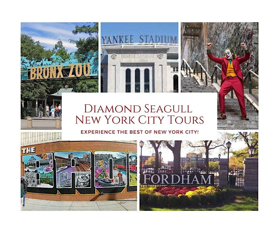 The Best of The Bronx! NYC Sightseeing Tour of NYCs Most Legendary ...