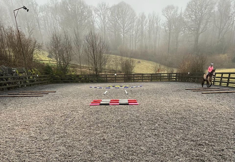 Flat/Pole/grid work/ jump Training with Deana Tarr , Witherslack Hall ...
