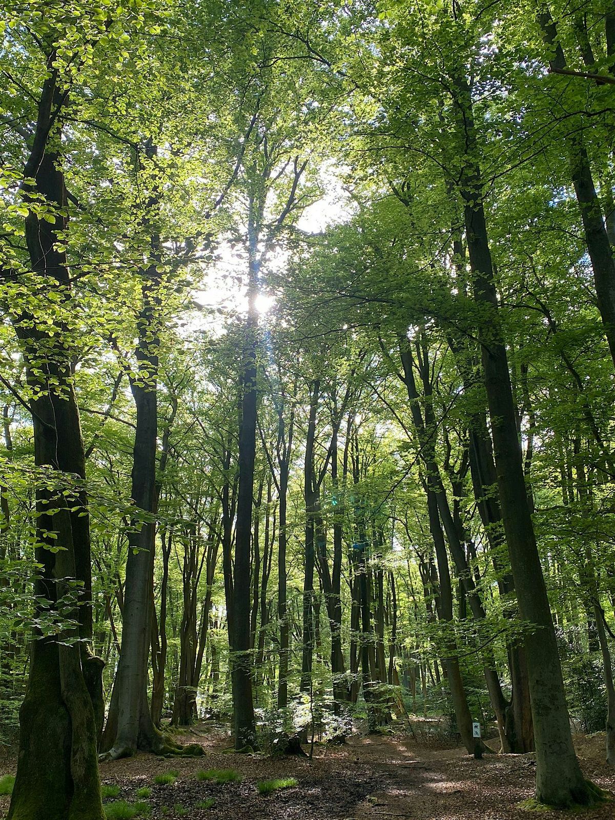 MWC x Epping Forest Heritage Trust Conservation Session, Queen Elizabeth's Hunting Lodge, London ...