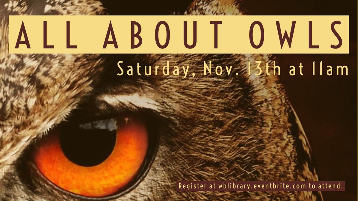 All About Owls, Wells Branch Community Library, Austin, 13 November 2021