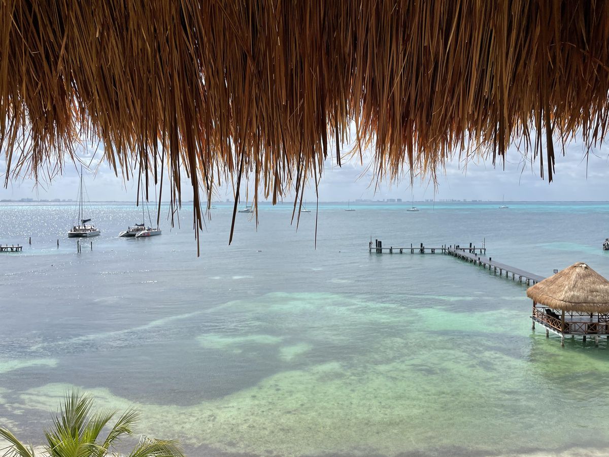 ASTA Greater Seattle Mexico Showcase, Online, 16 February 2022