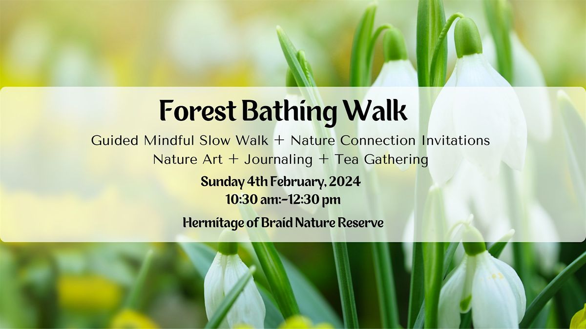 Imbolc /Midwinter Forest Bathing Walk- Hermitage of Braid Nature ...