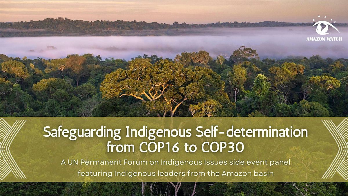 Safeguarding Indigenous Self-determination from COP16 to COP30, Open ...