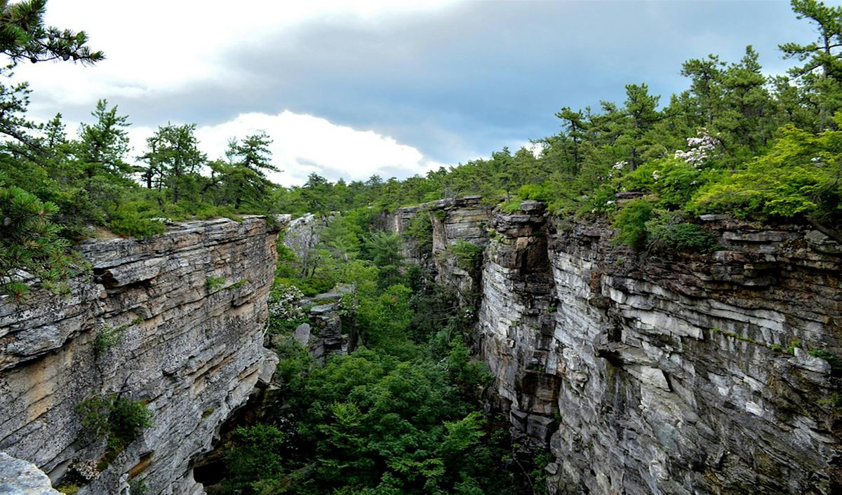 Hike to the Shingle Gully Ice Caves, 20 Berme Rd, Ellenville, 11 July 2024