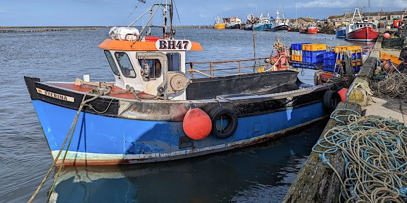 Pyramids of Life: Improving the health of oceans, Ron Cooke Hub, York ...