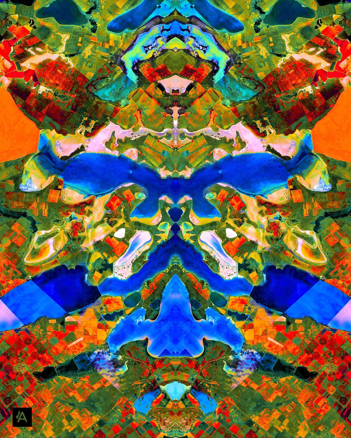 A Curated Psychedelic Experience, Ant Life, Denver, 27 August 2022