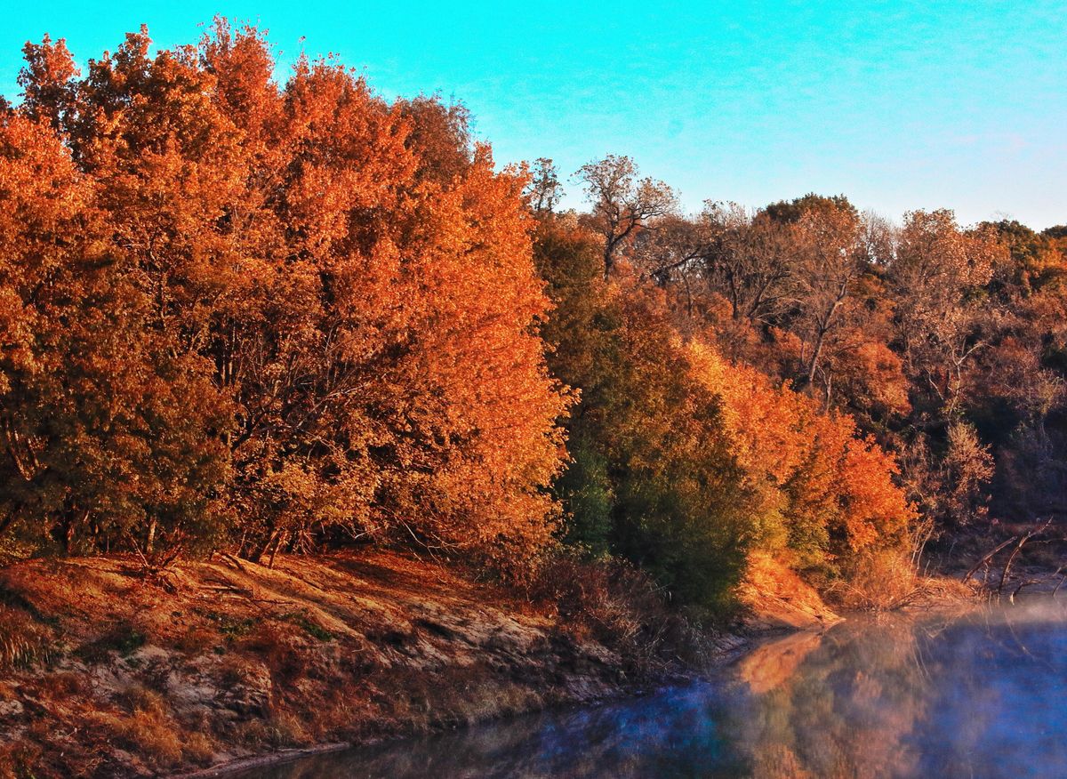 The Trinity River: A Home to Natural Wonders, Allen Public Library, 30 ...