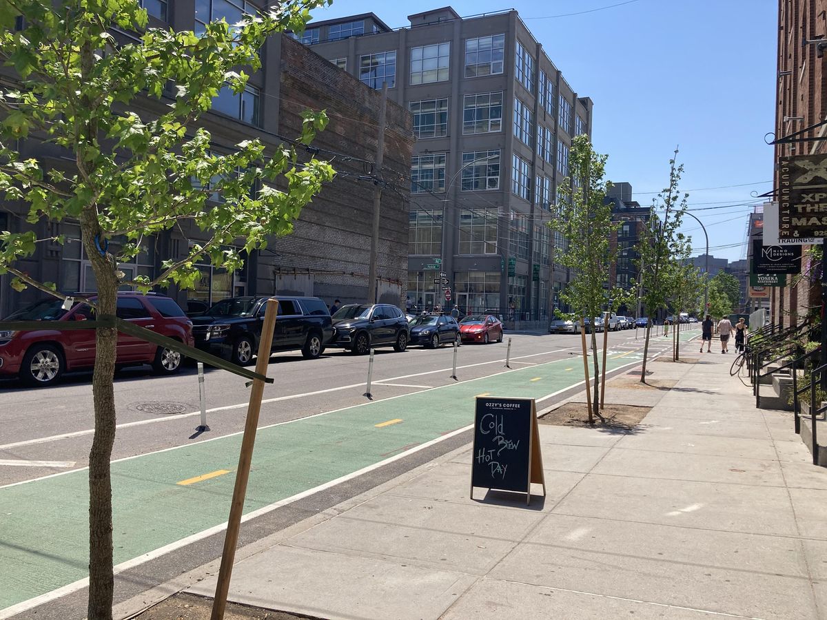 Tree Care and Bulb Planting on West Street with BGI, West Street ...