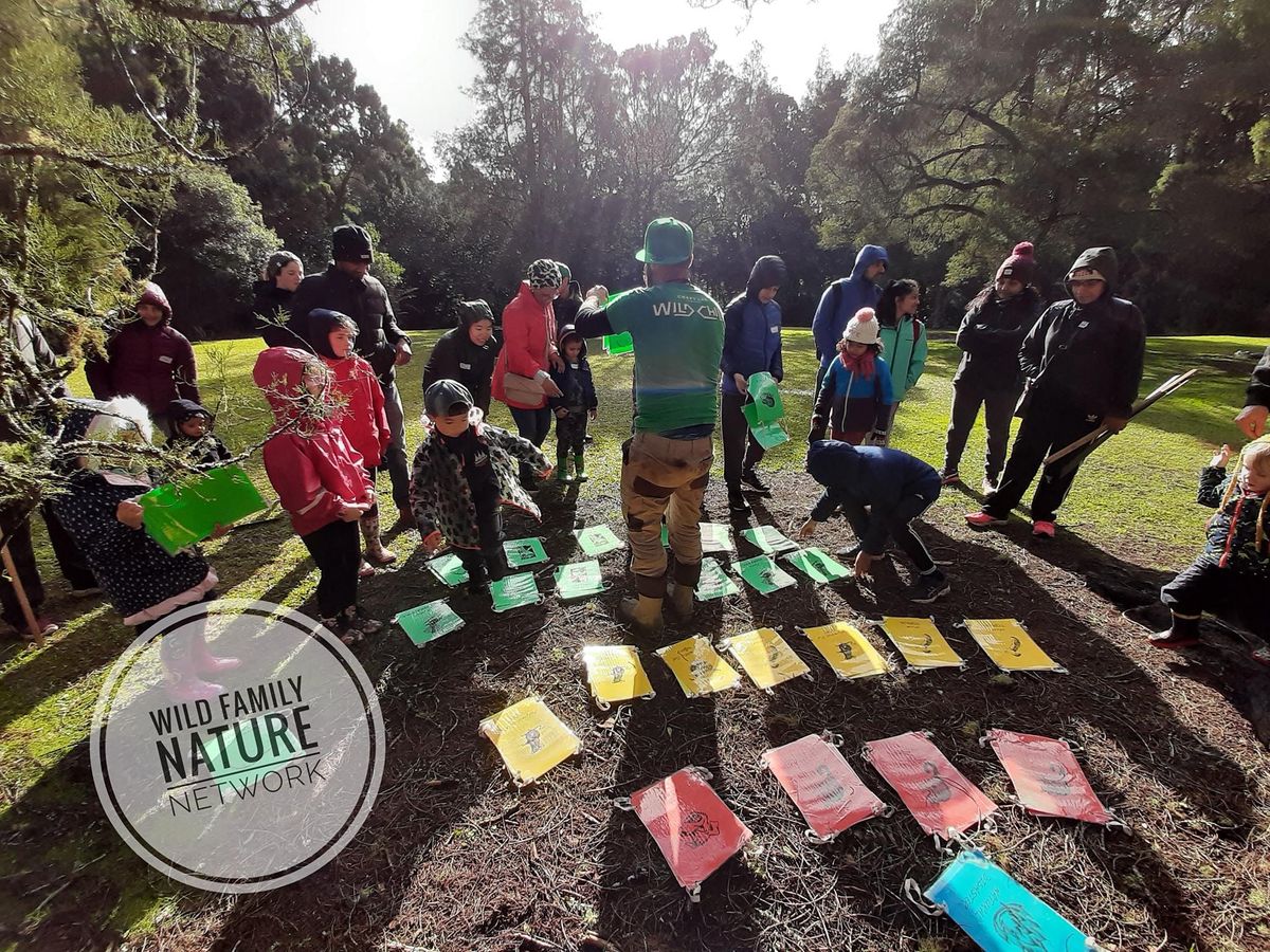 Wild Families Nature Network - Sanders Reserve, Paremoremo 27 Feb ...