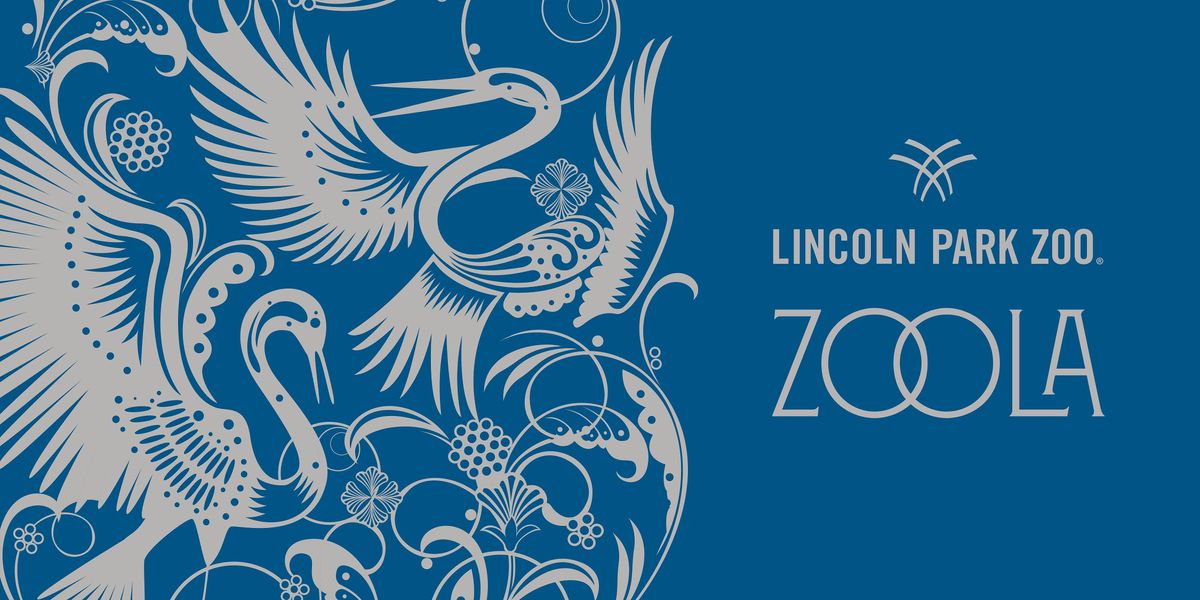 ZooLA, The Casino Club, Chicago, 10 November 2022