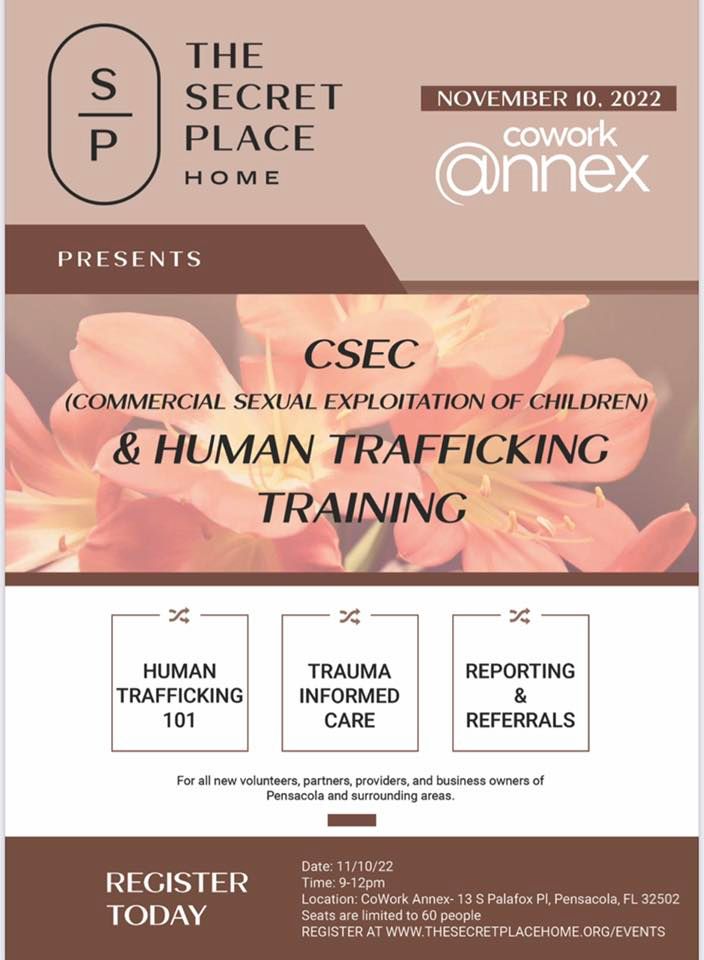 CSEC & Trauma Informed Care Training, cowork annex, Pensacola, 10 ...