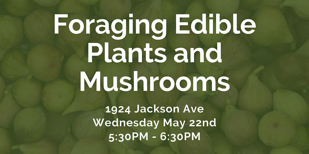 Foraging Edible Plants and Mushrooms, 1924 Jackson Ave, New Orleans, 22 ...