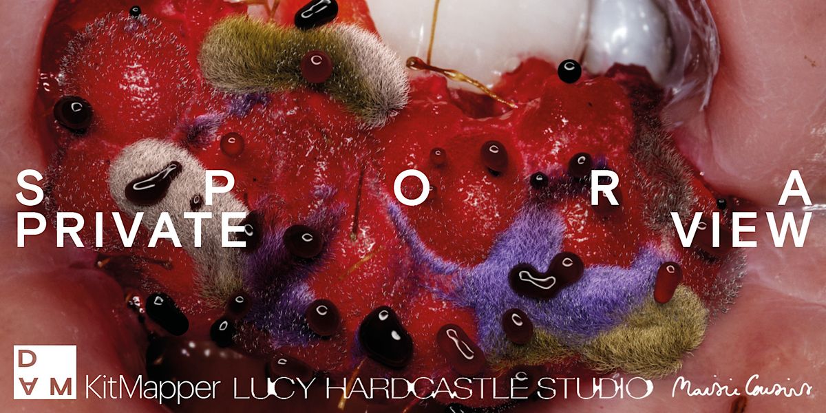 SPORA Exhibition Private View - Lucy Hardcastle x Maisie Cousins x DAM ...
