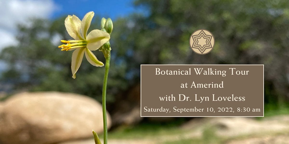 Botanical Walking Tour at Amerind with Dr. Lyn Loveless, Amerind Museum ...