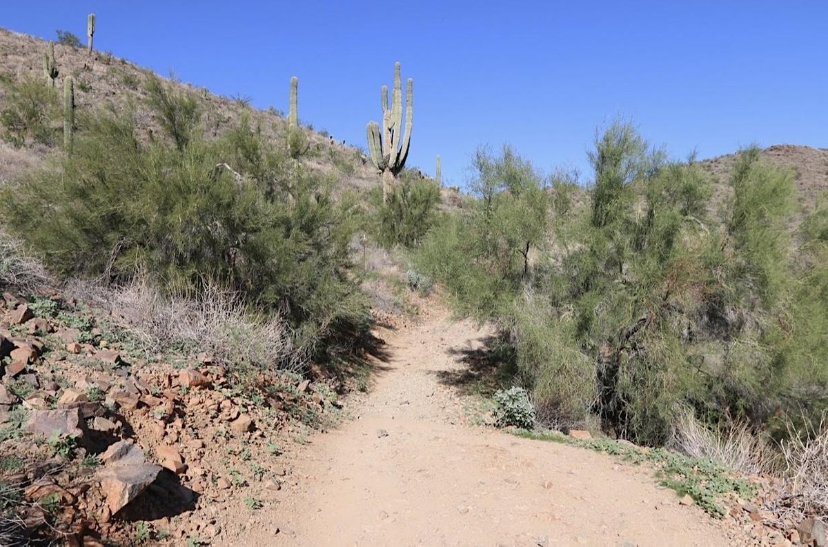 Hike - Hawks Nest/Desert Tortoise/Dixie Mountain Loop, Hawks Nest ...