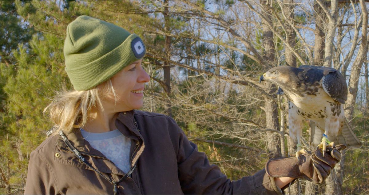 2 1/2-Hr Immersive Falconry Experience flying/handling Birds of Prey ...