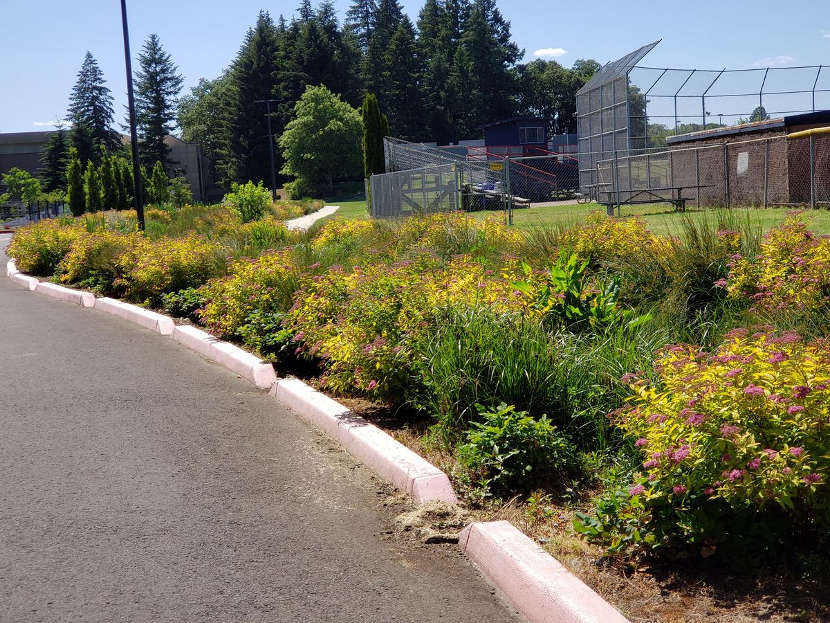 Vegetated Stormwater Facilities 2024, Clackamas Community College ...