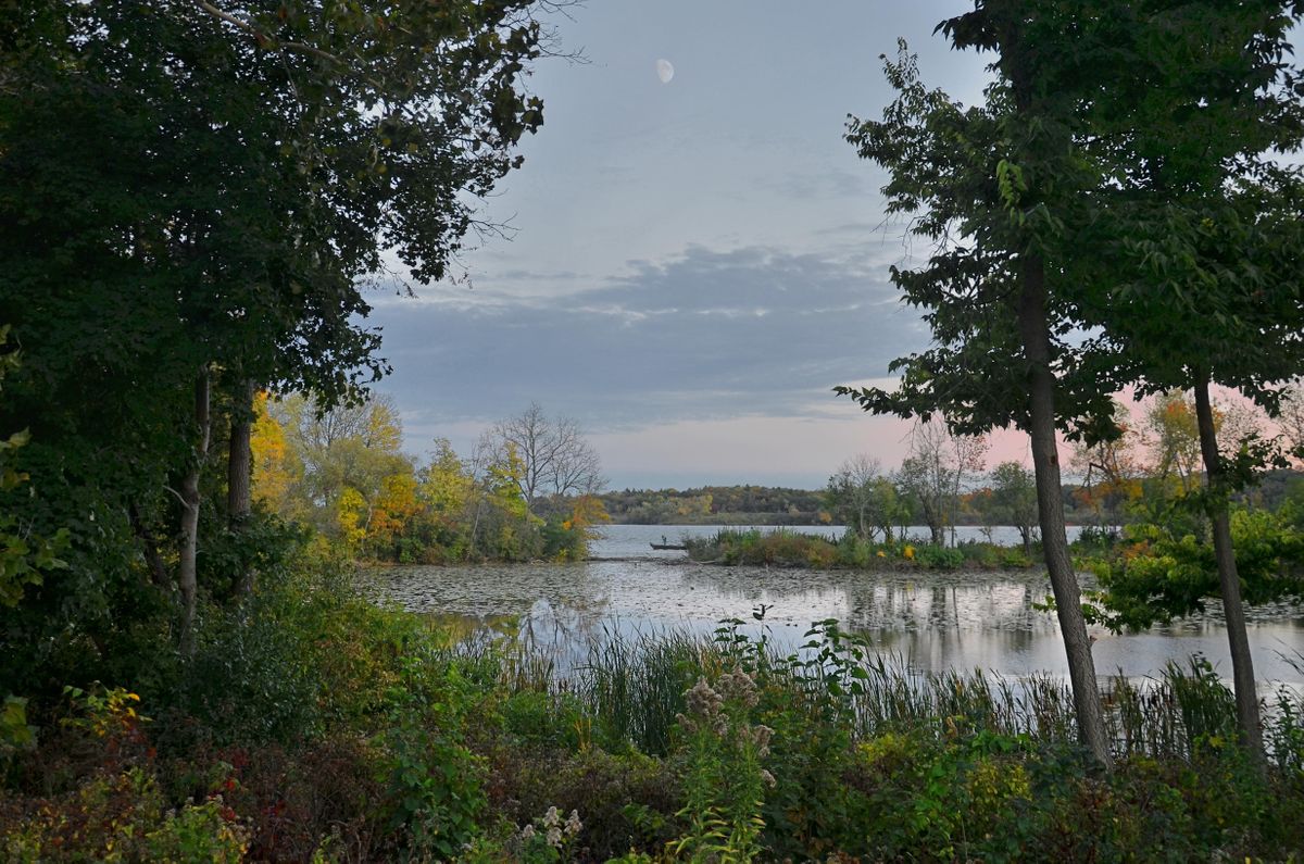 Lake Wingra Plant Identification Walk: Get To Know The Watershed Plants ...