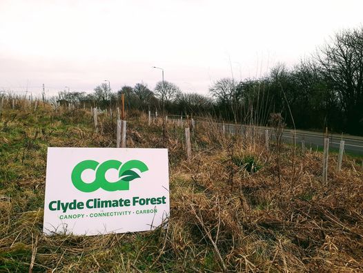 Clyde Climate Forest -Tree Planting Event hosted by TCV, Coves ...