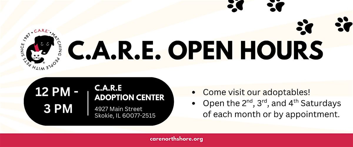 Visit C.A.R.E.s Adoption Center – Open Hours!, Community Animal Rescue ...