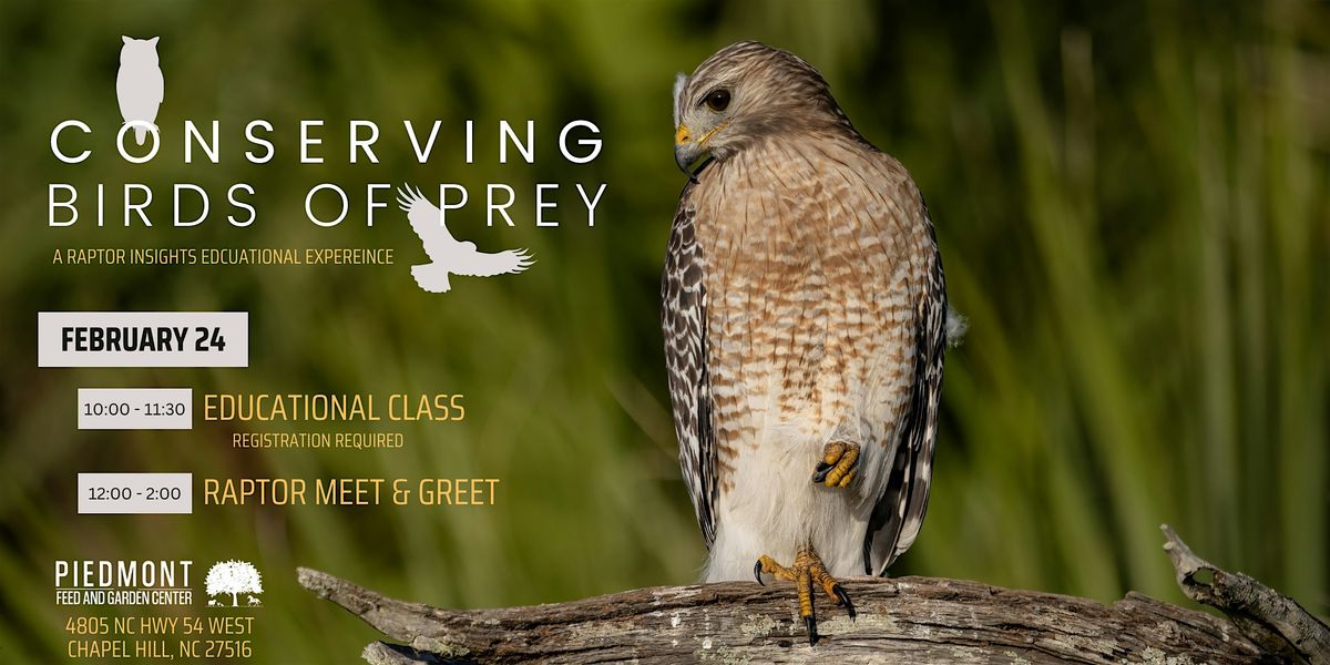 Conserving Birds of Prey - A Raptor Insights Educational Experience ...