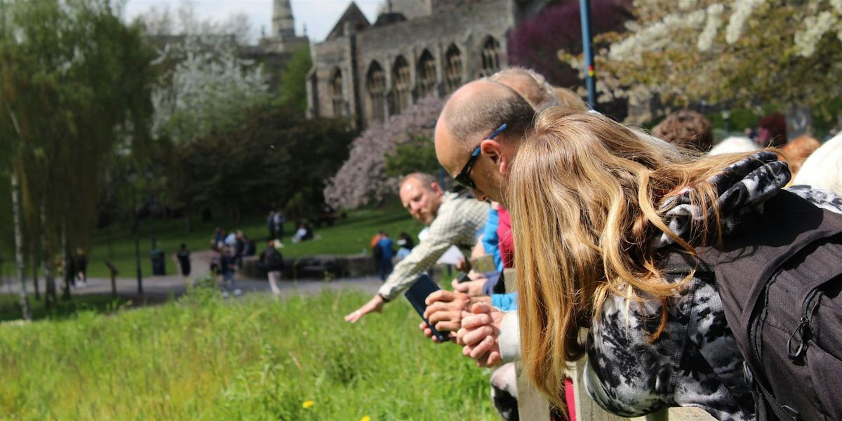 Lunchtime Guided Wildlife Walk with Ed Drewitt, Meet outside - Left ...