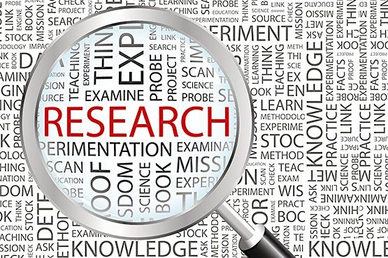 Early Career Academia: An Insightful Overview with Kate Burrows, Online ...