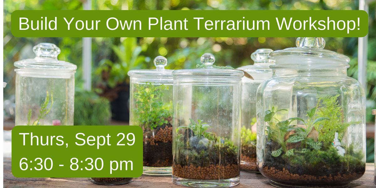 Build Your Own Plant Terrarium with Artist, vermilion!, Fountain House ...